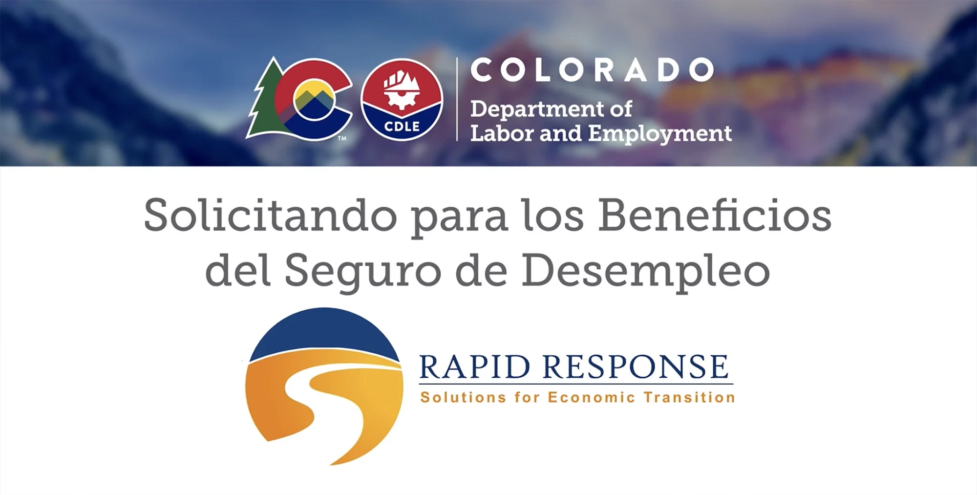 Government: CDLE Unemployment Division | Blu Bambu Agency